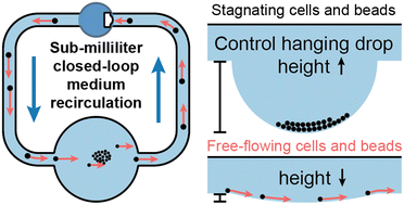 Controlling bead and cell mobility in a recirculating hanging-drop ...