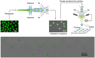 Flow cytometric printing of double emulsions into open droplet arrays ...
