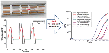 Ultra-fast, sensitive and low-cost real-time PCR system for nucleic ...