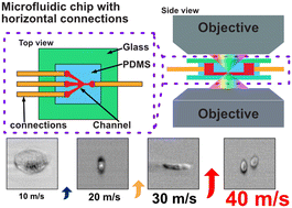An optimized PDMS microfluidic device for ultra-fast and high-throughput imaging flow cytometry ...