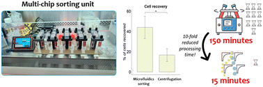 Scalable mesenchymal stem cell enrichment from bone marrow aspirate ...