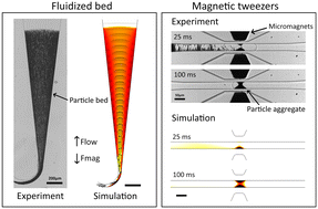 A continuum model for magnetic particle flows in microfluidics ...
