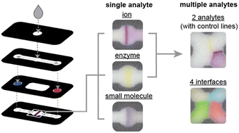Generating signals at converging liquid fronts to create line-format ...
