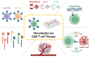Expanding CAR-T cell immunotherapy horizons through microfluidics - Lab ...