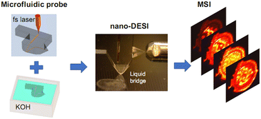 A monolithic microfluidic probe for ambient mass spectrometry imaging ...