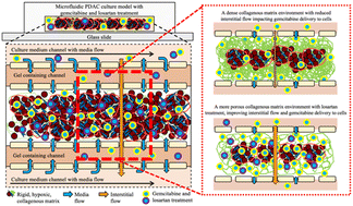 Modelling and breaking down the biophysical barriers to drug delivery ...