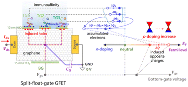 Multiplexed immunosensing of cancer biomarkers on a split-float-gate ...