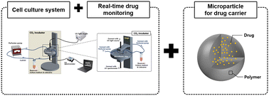 Cell chip device for real-time monitoring of drug release from drug ...