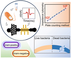 Label-free multidimensional bacterial characterization with an ...