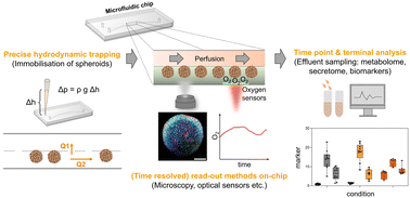 Microphysiological pancreas-on-chip platform with integrated sensors to ...