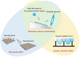 Design of highly robust super-liquid-repellent surfaces that can resist ...