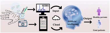 Wearable intelligent sweat platform for SERS-AI diagnosis of gout - Lab ...