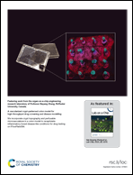 Inside back cover - Lab on a Chip (RSC Publishing)