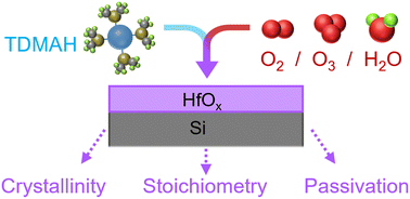Influence of co-reactants on surface passivation by nanoscale hafnium ...