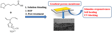Preparation of gradient porous polymer membranes with ...