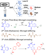 Triple click chemistry for crosslinking, stiffening, and annealing of ...