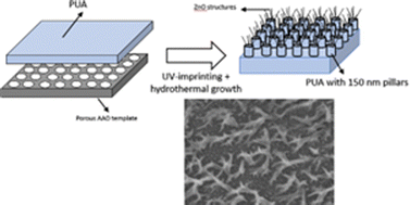 Antibacterial surface based on hierarchical polyurethane acrylate/zinc ...