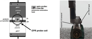 Proton density monitoring at the interface of proton-donor and proton ...