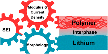 Understanding and controlling lithium morphology in solid polymer and ...