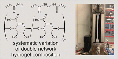 Unravelling parameter interactions in calcium alginate/polyacrylamide ...