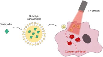 Lipid nanoparticles as efficient verteporfin nanocarriers for ...