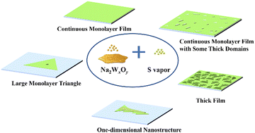 Further insights into the Na2WO4-assisted synthesis method for WS2 ...