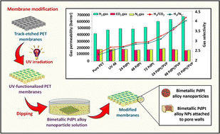 Bimetallic PdPt alloy nanoparticle-decorated track-etched polyethylene ...