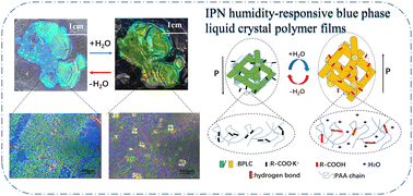 A blue phase liquid crystal film based on an interpenetrating network ...