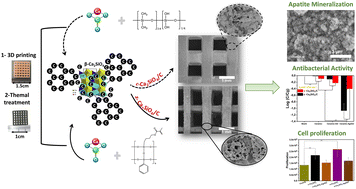 3D printed bioactive calcium silicate ceramics as antibacterial ...