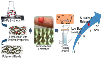 A microneedle transdermal patch loaded with iron(ii) nanoparticles for ...