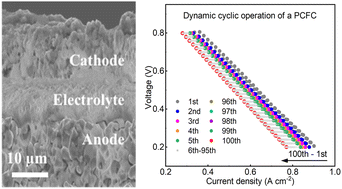 A robust protonic ceramic fuel cell with a triple conducting oxygen ...
