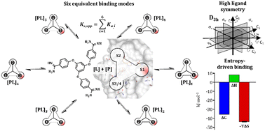 Improving binding entropy by higher ligand symmetry? – A case study ...