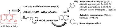 Optimization of the 2-arylquinazoline-4(3H)one scaffold for a selective ...