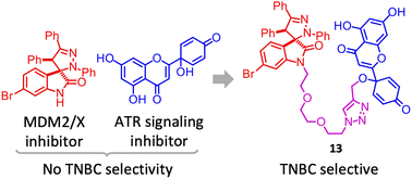 Hybrid molecules of protoflavones and spirooxindole derivatives with ...