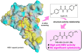 Development of anti-HBV agents targeting HBV capsid proteins - RSC ...