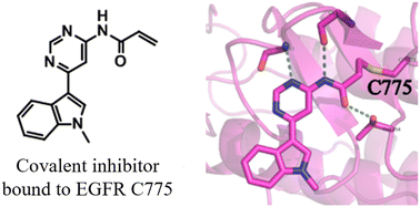 A covalent fragment-based strategy targeting a novel cysteine to ...