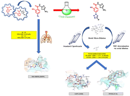 New nitazoxanide derivatives: design, synthesis, biological evaluation ...