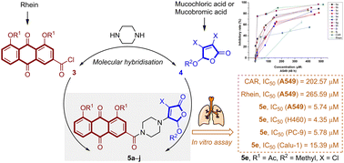 Design, synthesis and biological evaluation of rhein–piperazine ...