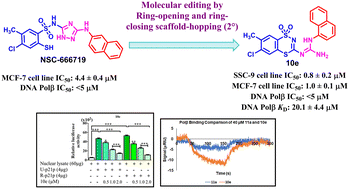 Molecular editing of NSC-666719 enabling discovery of ...