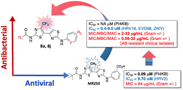 4-Trifluoromethyl bithiazoles as broad-spectrum antimicrobial agents ...