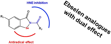 Ebselen analogues with dual human neutrophil elastase (HNE) inhibitory ...