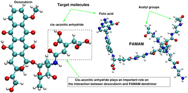 Describing the adsorption of doxorubicin on a PAMAM dendrimer by ab ...
