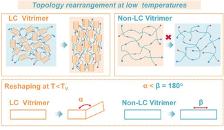 Fabricating liquid crystal vitrimer actuators far below the normal ...