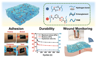 Nanocomposite conductive hydrogels with Robust elasticity and ...