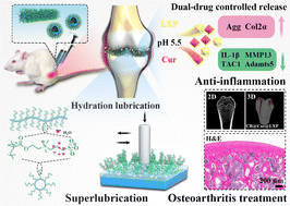 A cyclic brush zwitterionic polymer based pH-responsive nanocarrier ...