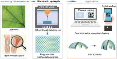 An information encrypted heterogeneous hydrogel with programmable ...