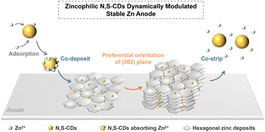 Durable modulation of Zn(002) plane deposition via reproducible ...