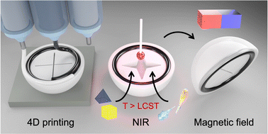 A dual stimuli-responsive smart soft carrier using multi-material 4D ...