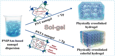 Remarkable sol–gel transition of PNIPAm-based nanogels via large steric ...