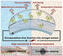 High-sensitivity and ultralow-hysteresis fluorine-rich ionogel strain ...